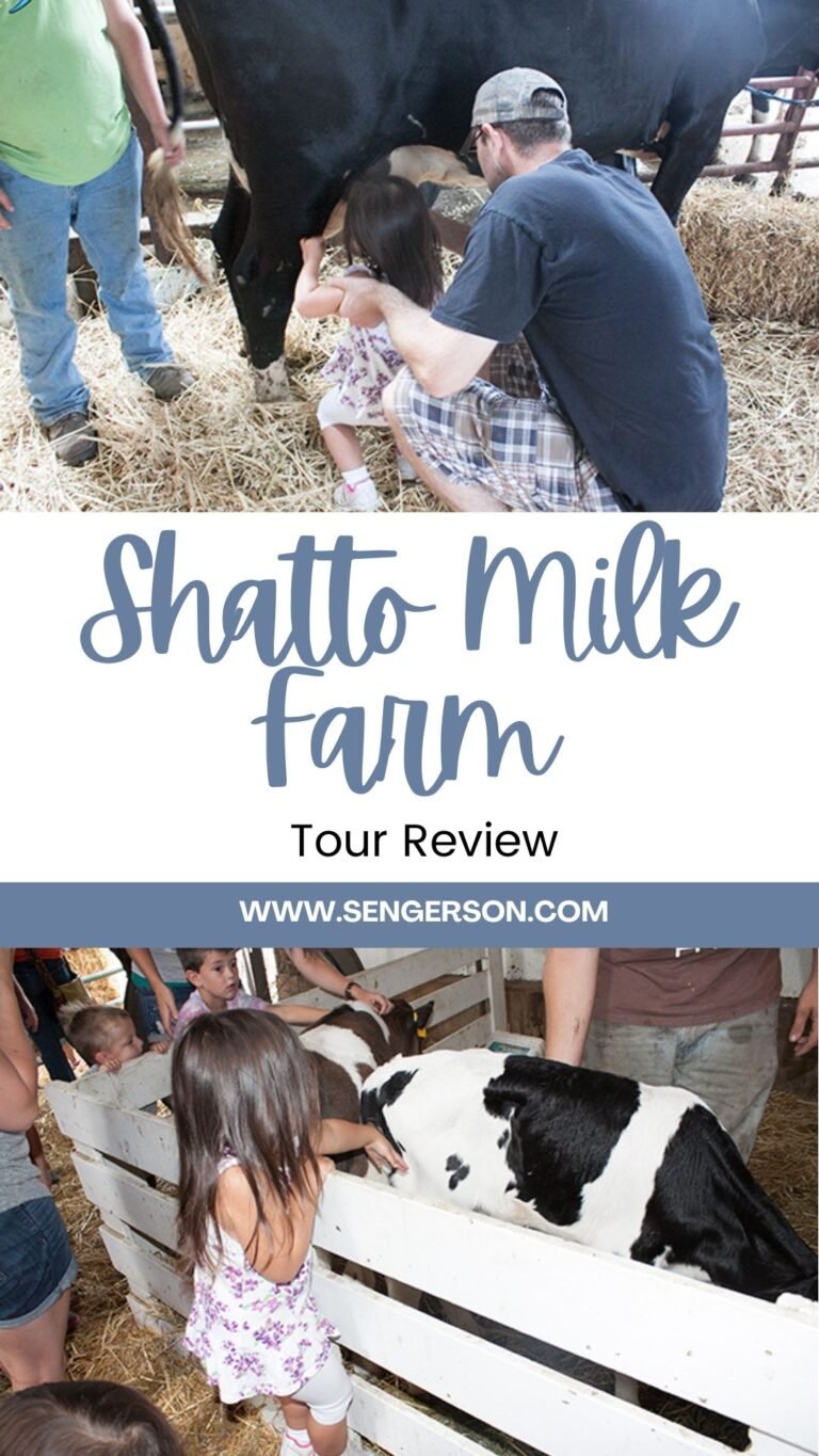 Take a Tour of Shatto Milk Farm: Learn About the Dairy Industry & Enjoy ...