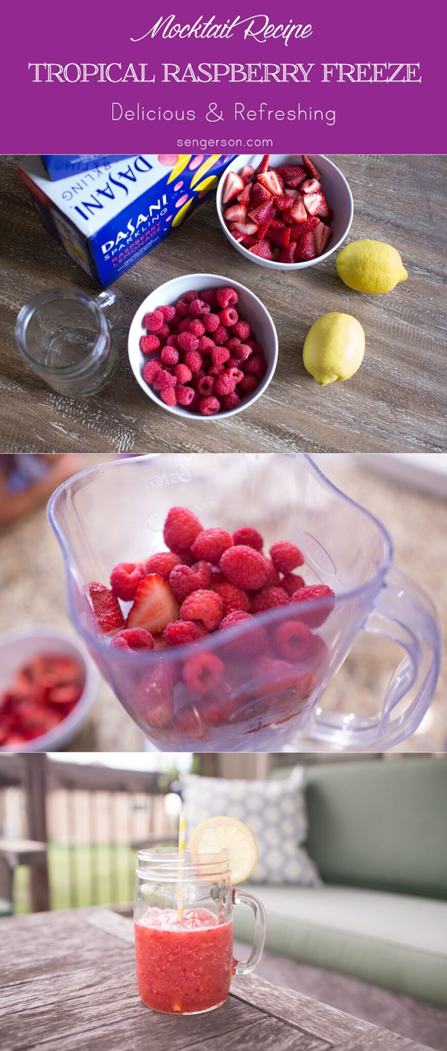 Frozen Tropical Drink Recipes