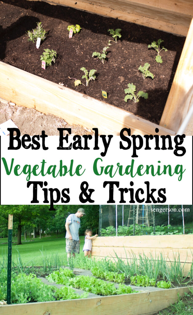 Early Spring Vegetable Garden Tips with Cold Frame and Raised Bed