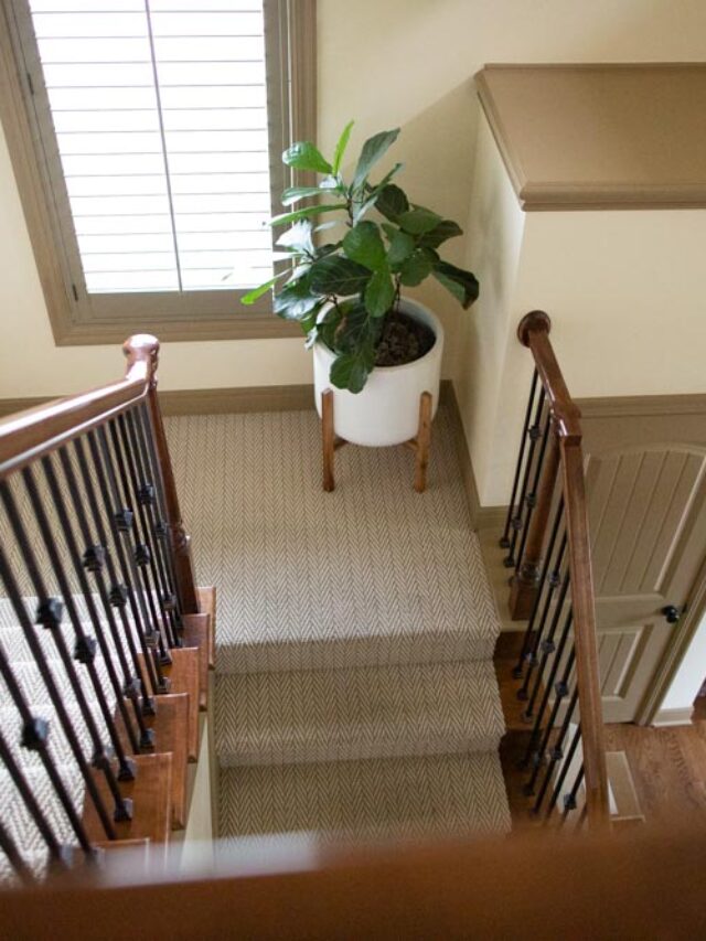 Quiver Tan: The Perfect Neutral Paint Color - Home DIY, Design, and ...