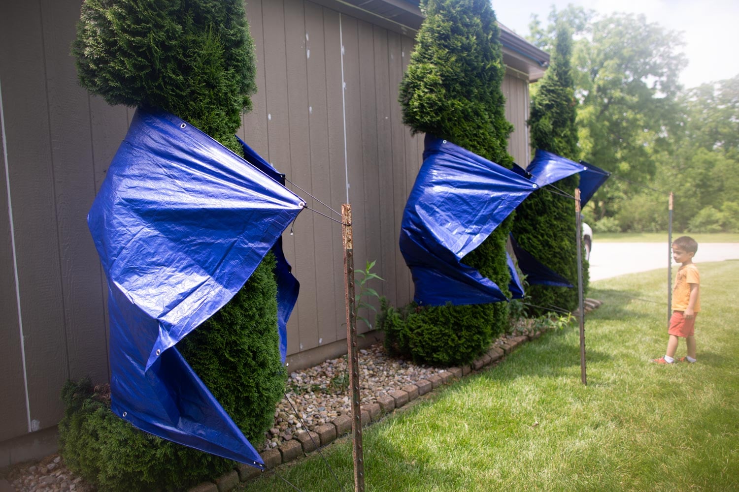 How to Paint Behind and Around Bushes Outdoor: Hack for Painting Exterior