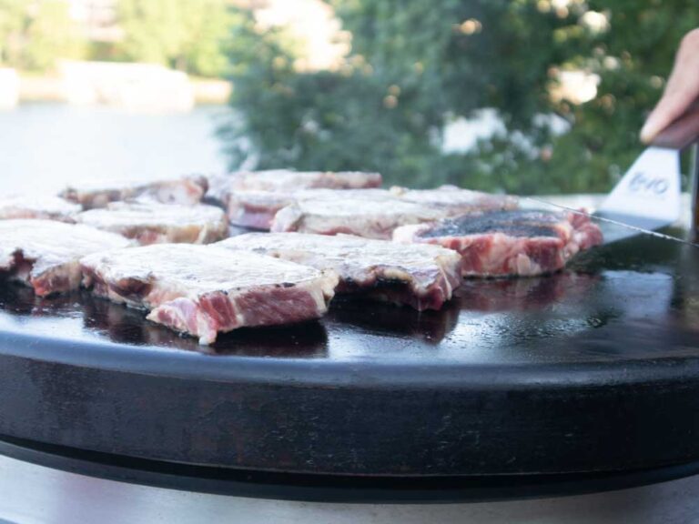 Grill Like a Pro: Honest Review of the Evo Affinity 30G Built-In Grill