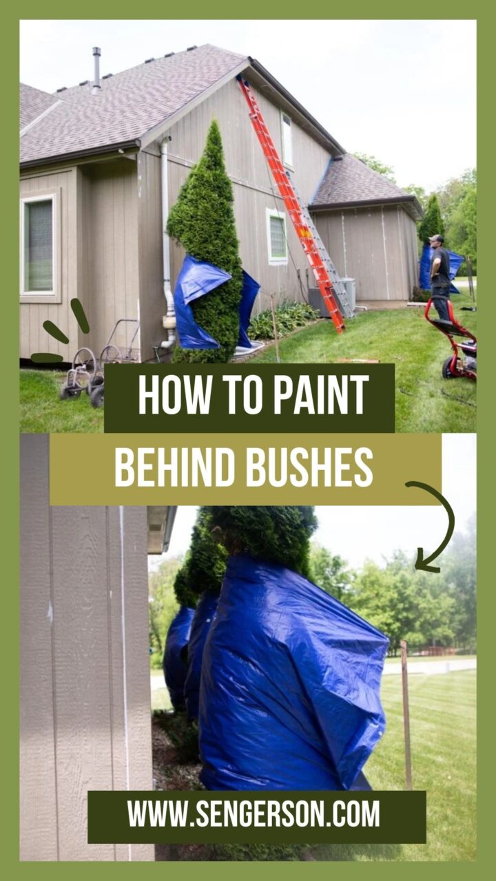 How to Paint Behind and Around Bushes Outdoor: Hack for Painting Exterior