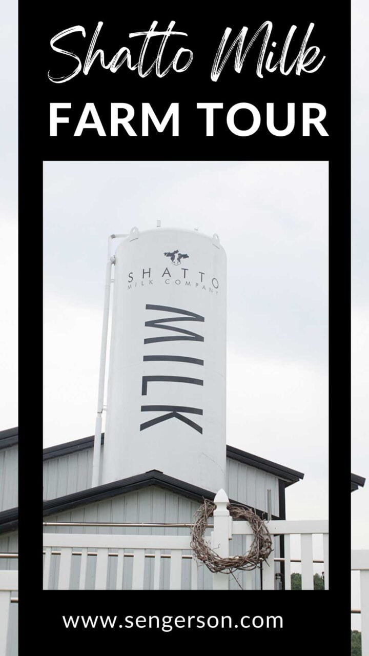 Take a Tour of Shatto Milk Farm: Learn About the Dairy Industry & Enjoy ...
