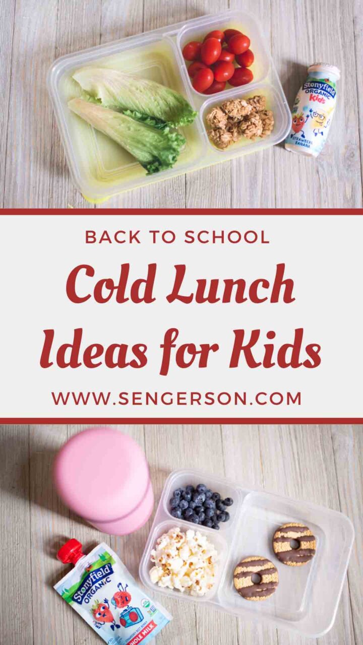 Cold Lunch Ideas for Kids That are Not Your Typical Sandwiches!