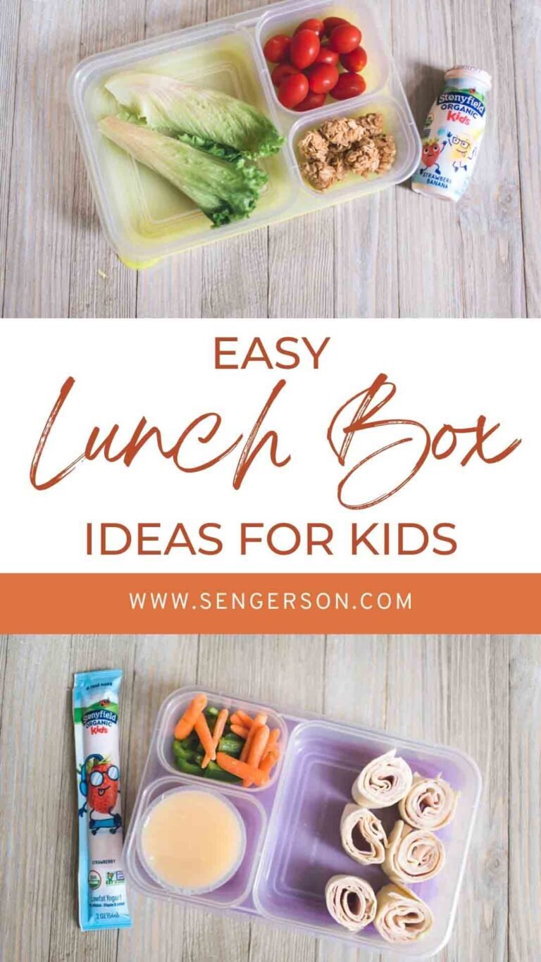 Cold Lunch Ideas for Kids That are Not Your Typical Sandwiches!
