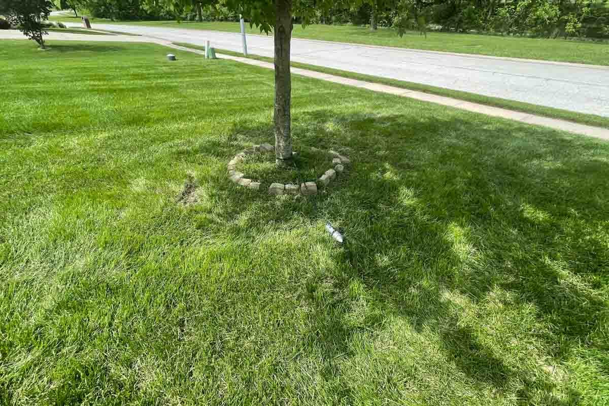Easy DIY Tree Ring Makeover: Budget-Friendly Front Yard Transformation
