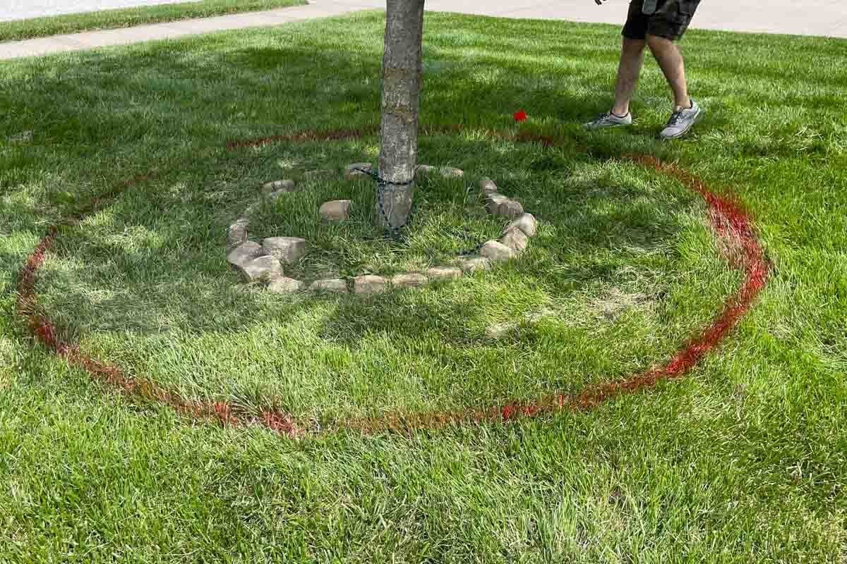 Easy DIY Tree Ring Makeover: Budget-Friendly Front Yard Transformation