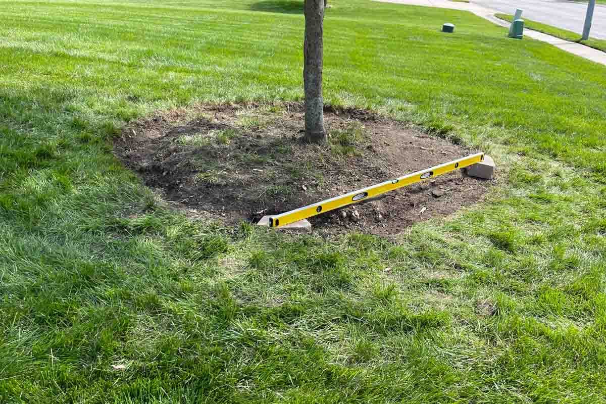 Easy DIY Tree Ring Makeover: Budget-Friendly Front Yard Transformation
