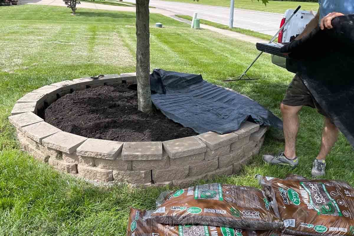 Easy DIY Tree Ring Makeover: Budget-Friendly Front Yard Transformation