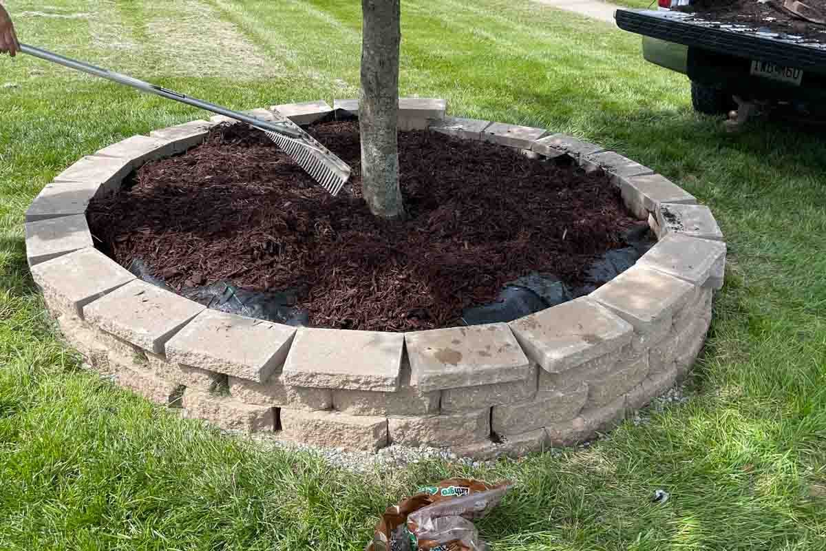 Easy DIY Tree Ring Makeover: Budget-Friendly Front Yard Transformation